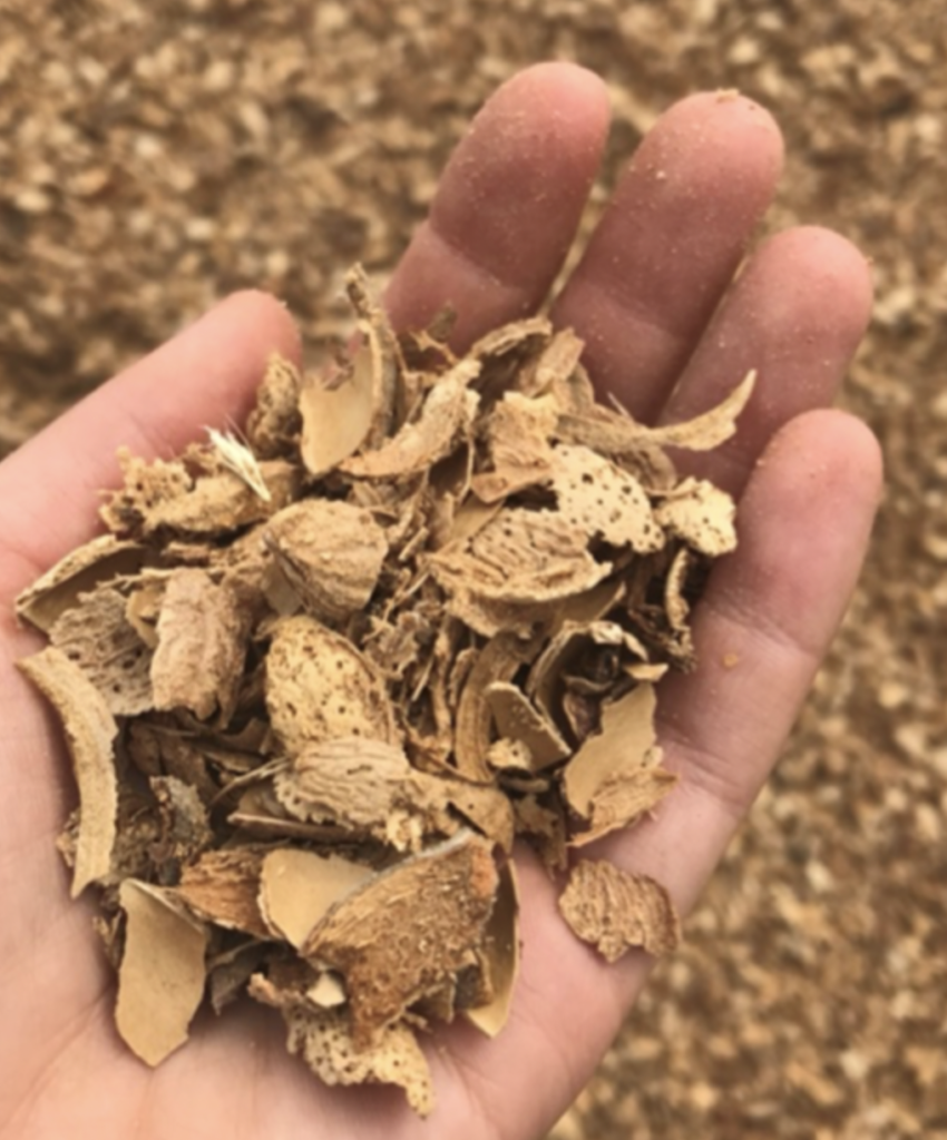 Management practices for improved water capture in almond - National ...