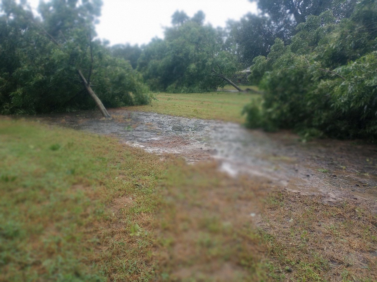 Georgia counties declared Hurricane Idalia disaster areas - National ...