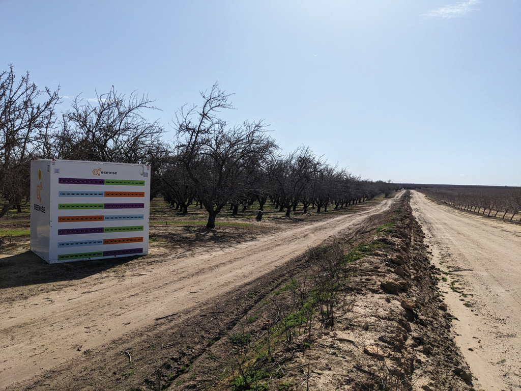 How honeybee research is shaping the future of almond pollination ...