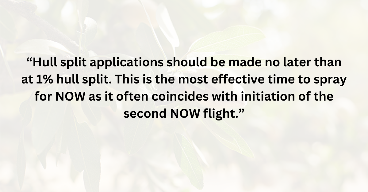 Maximize your inputs with proper almond hull split timing - National ...