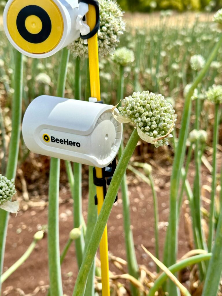 BeeHero launches upgrade of Pollination Insight Platform - National Nut ...