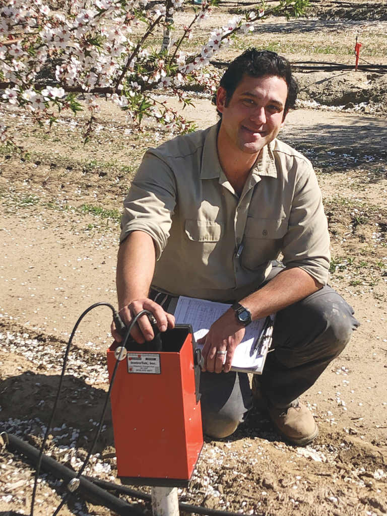 Understanding the needs of non-bearing almond trees - National Nut Grower