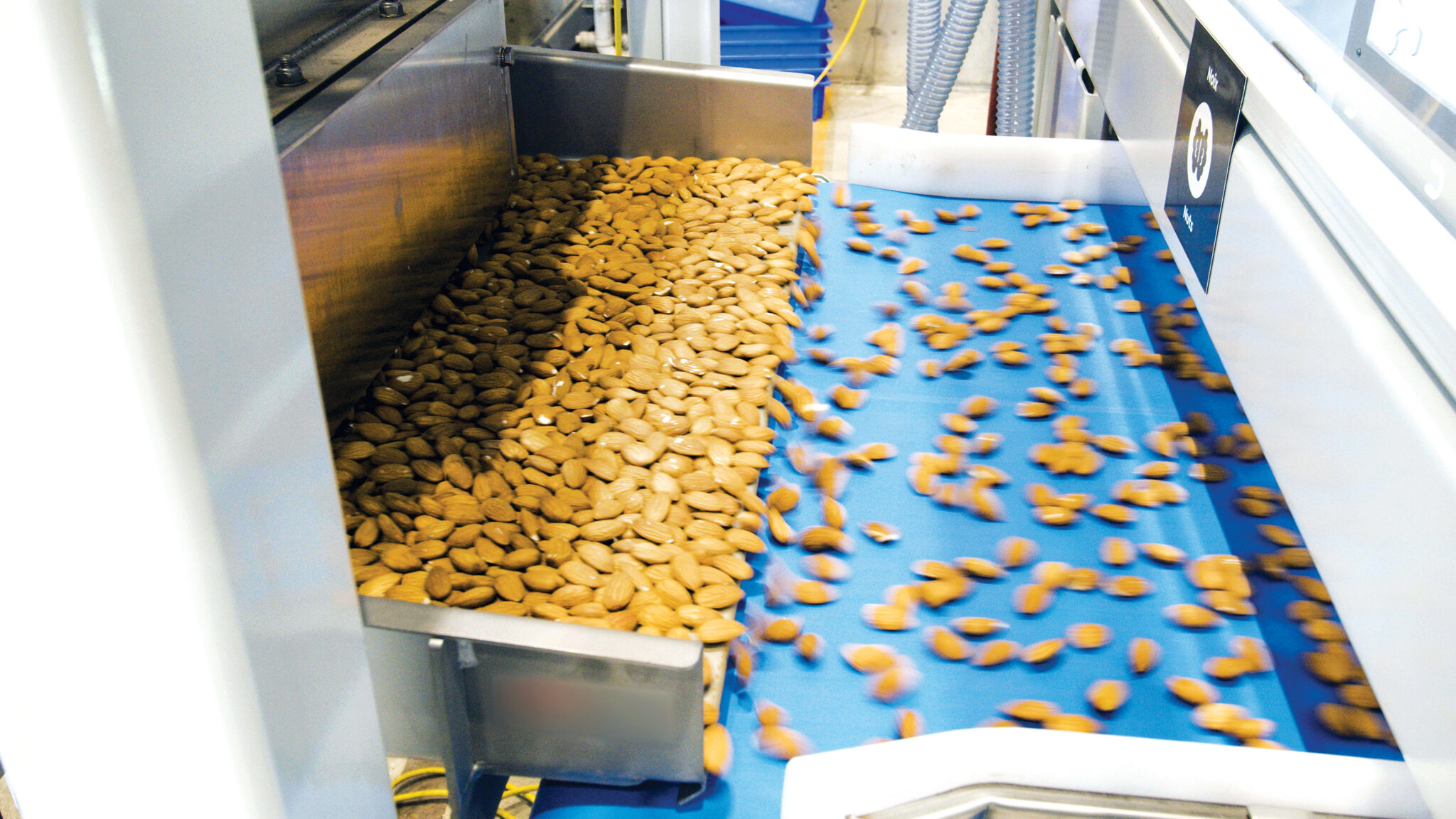 AI efficiencies for tree nut production line, sorting advances ...
