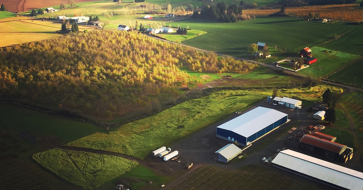 Denfeld Nut’s journey through sustainable hazelnut farming - National ...